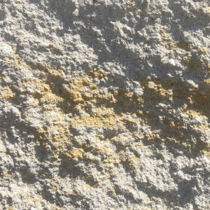 Textured Easy Lock Block | Adelaide Retaining Wall Block | Tasman Blocks